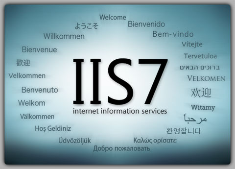 What is Microsoft IIS Web server? - Winity